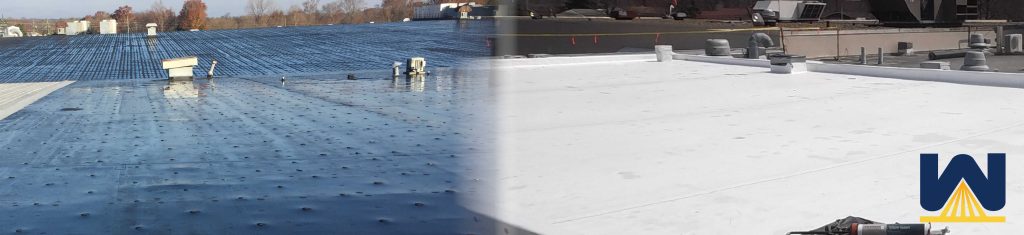 Single-Ply Membrane Roofing: TPO vs. EPDM [Infographic]