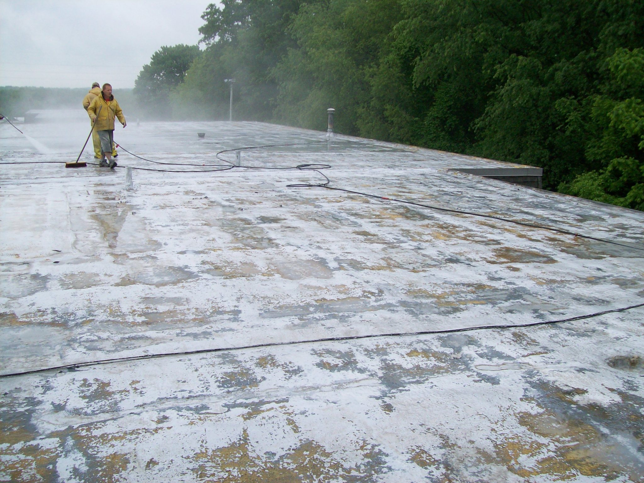 Membrane Roof Blisters: Causes, Prevention, and Repair